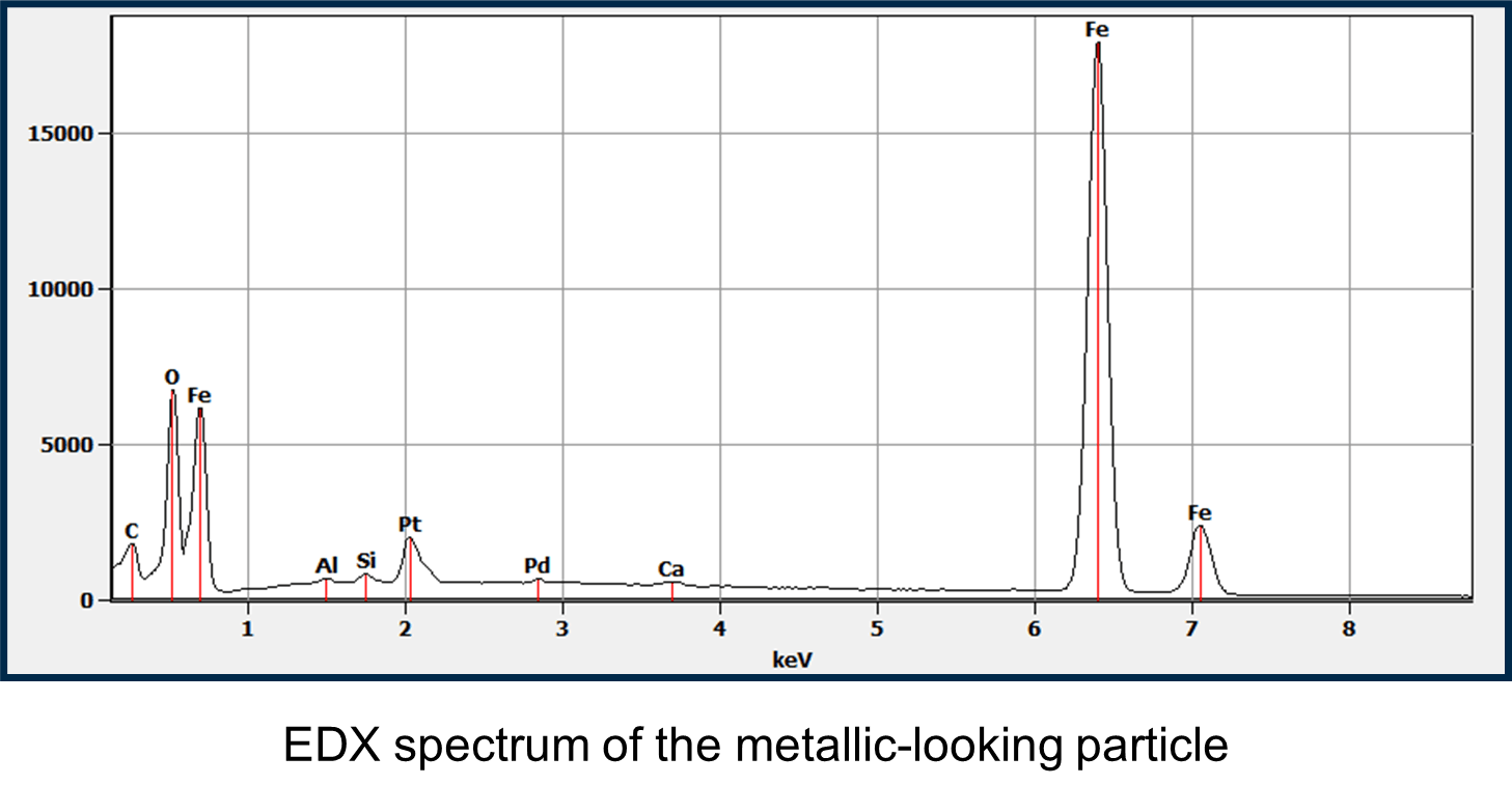 Foreign Matter Analysis & Particulate Contamination Testing | USP ...