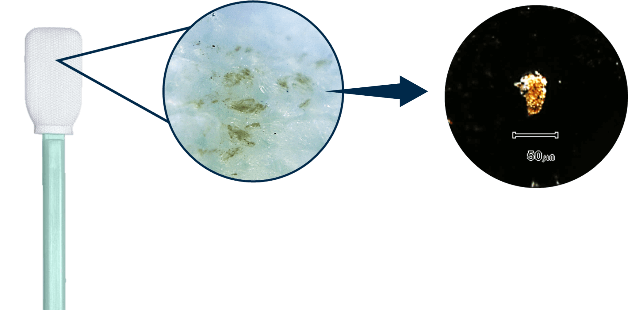 Foreign Matter Analysis & Particulate Contamination Testing | USP ...